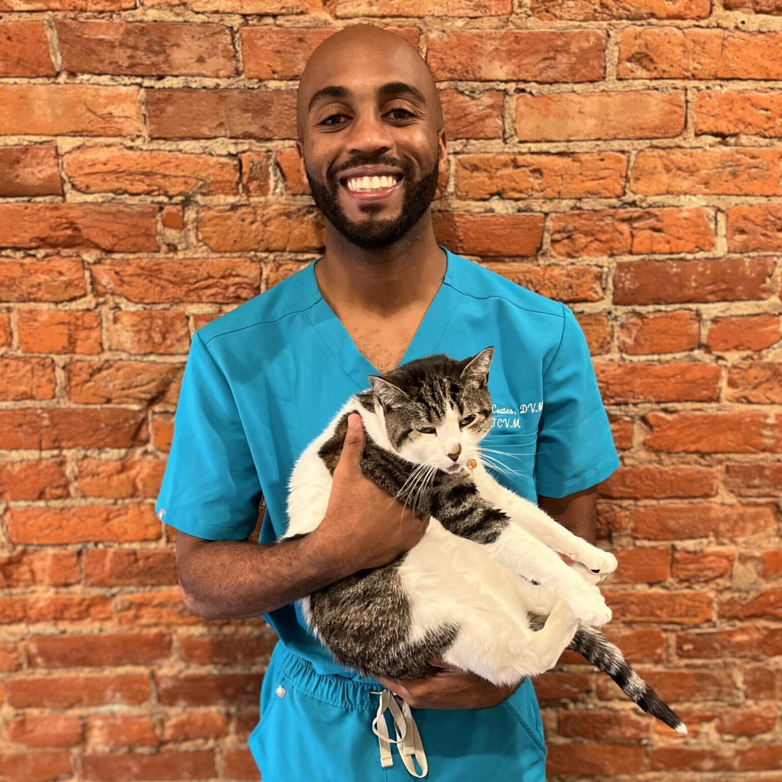 Dr. Desmond Coates | Mason Animal Hospital